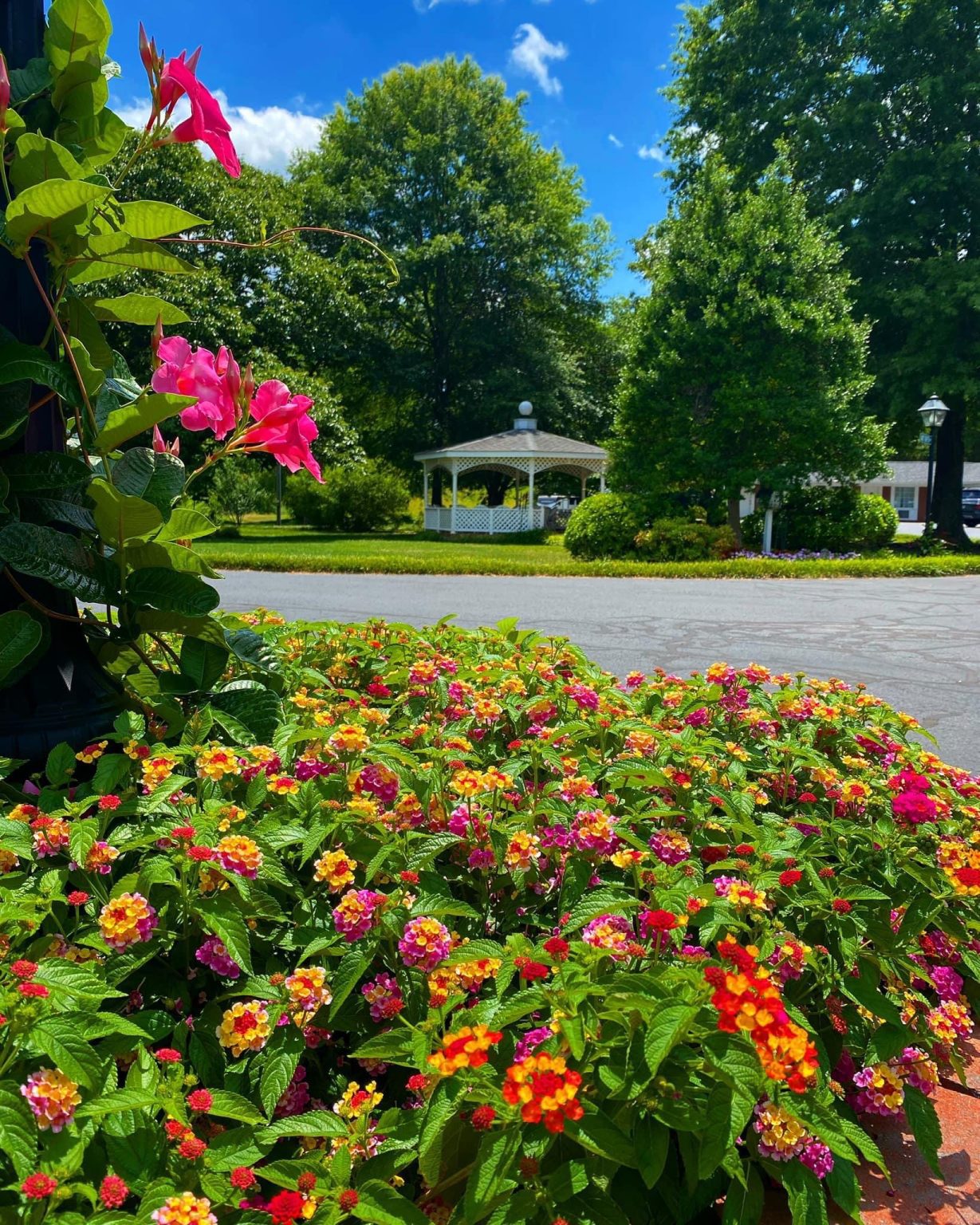 Home | Mayberry Motor Inn | Mount Airy NC